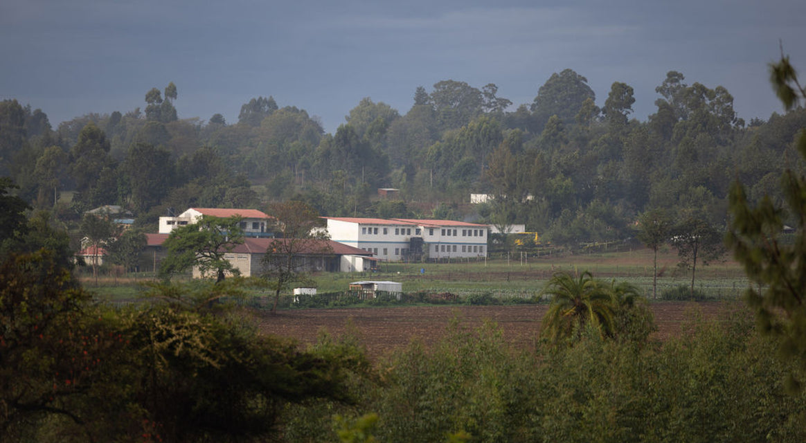 Projects / One Heart Academy - One Heart Foundation